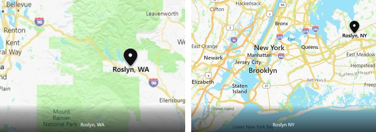 Website Design Roslyn - Ron The Web Guy